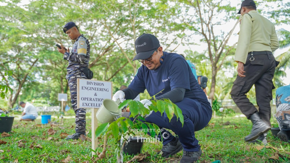 Lewat Program Seribu Pohon, PT Timah Dorong Mitigasi Perubahan Iklim ...